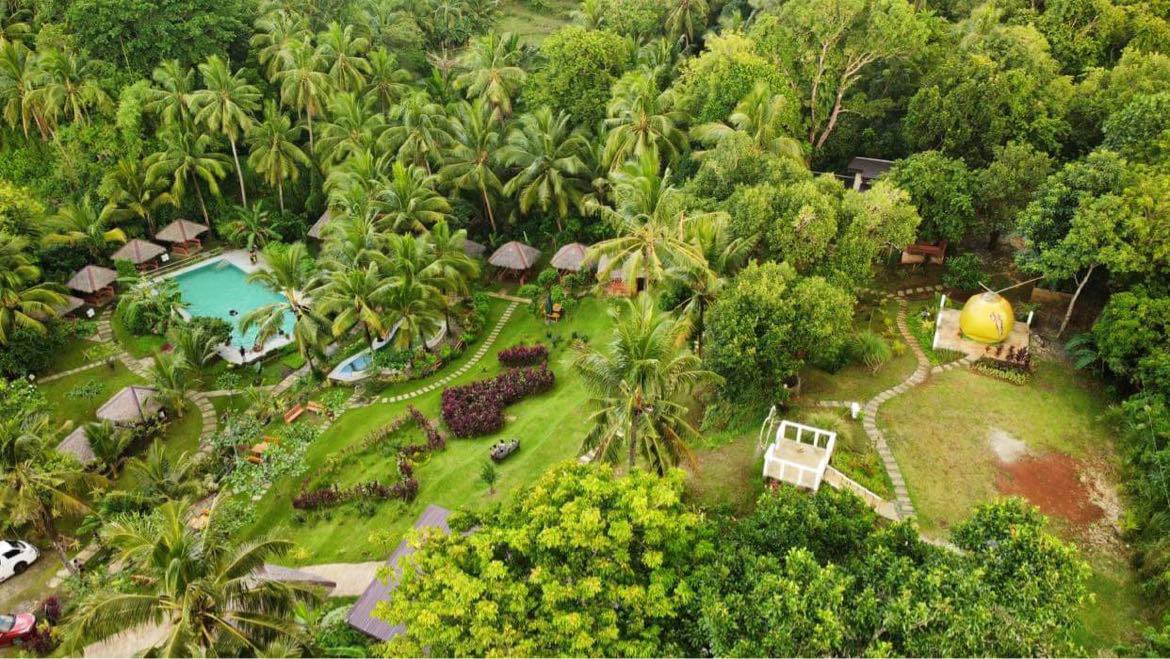 Home - Personal Website